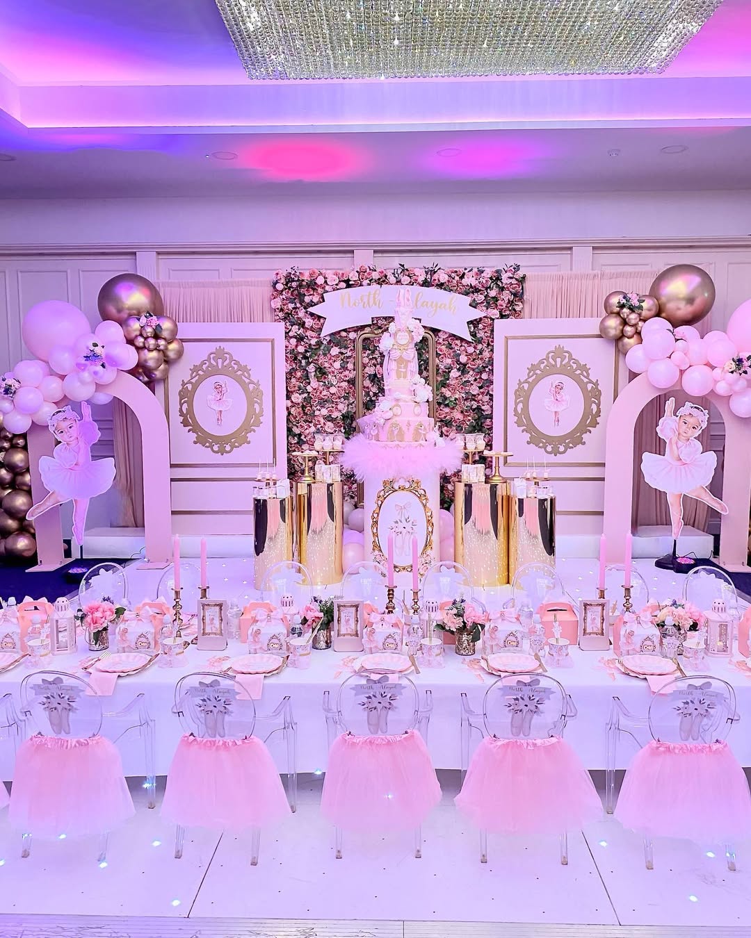 Services – Little Joey